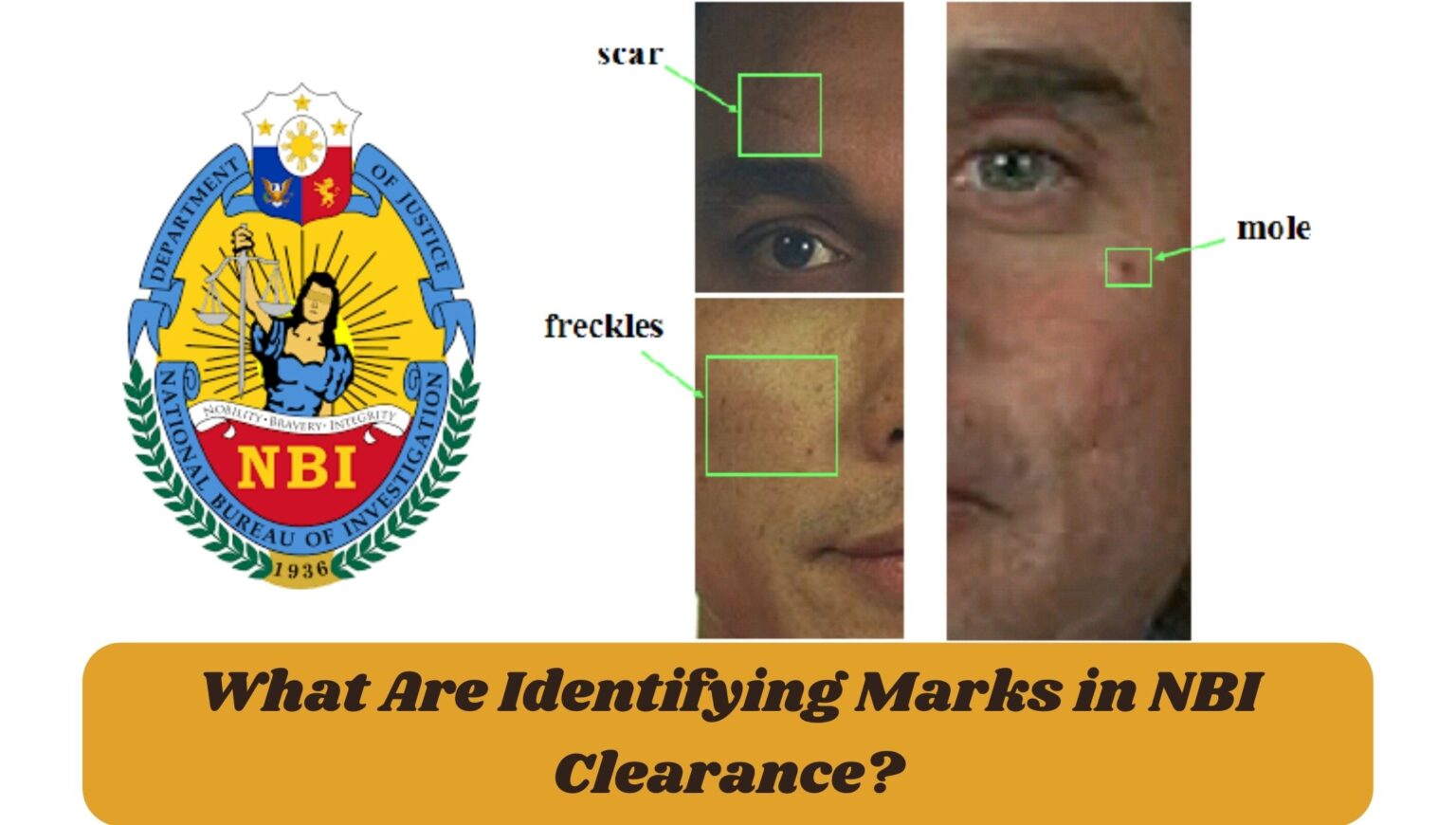 What Are Identifying Marks in NBI Clearance?