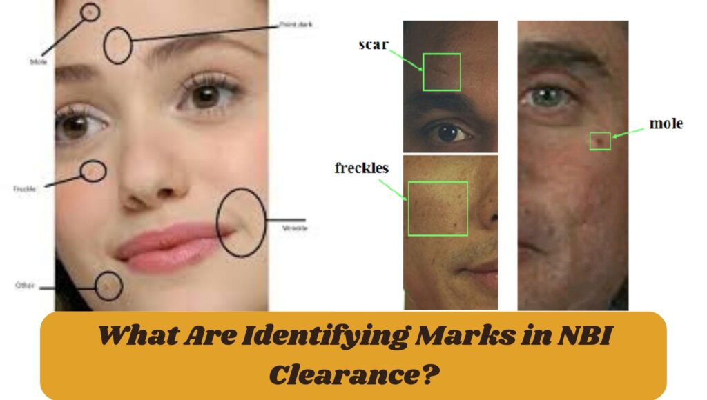 What Are Identifying Marks in NBI Clearance?